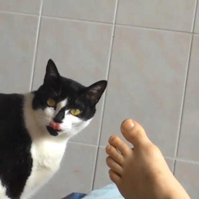 Rob Jabbaz's feet