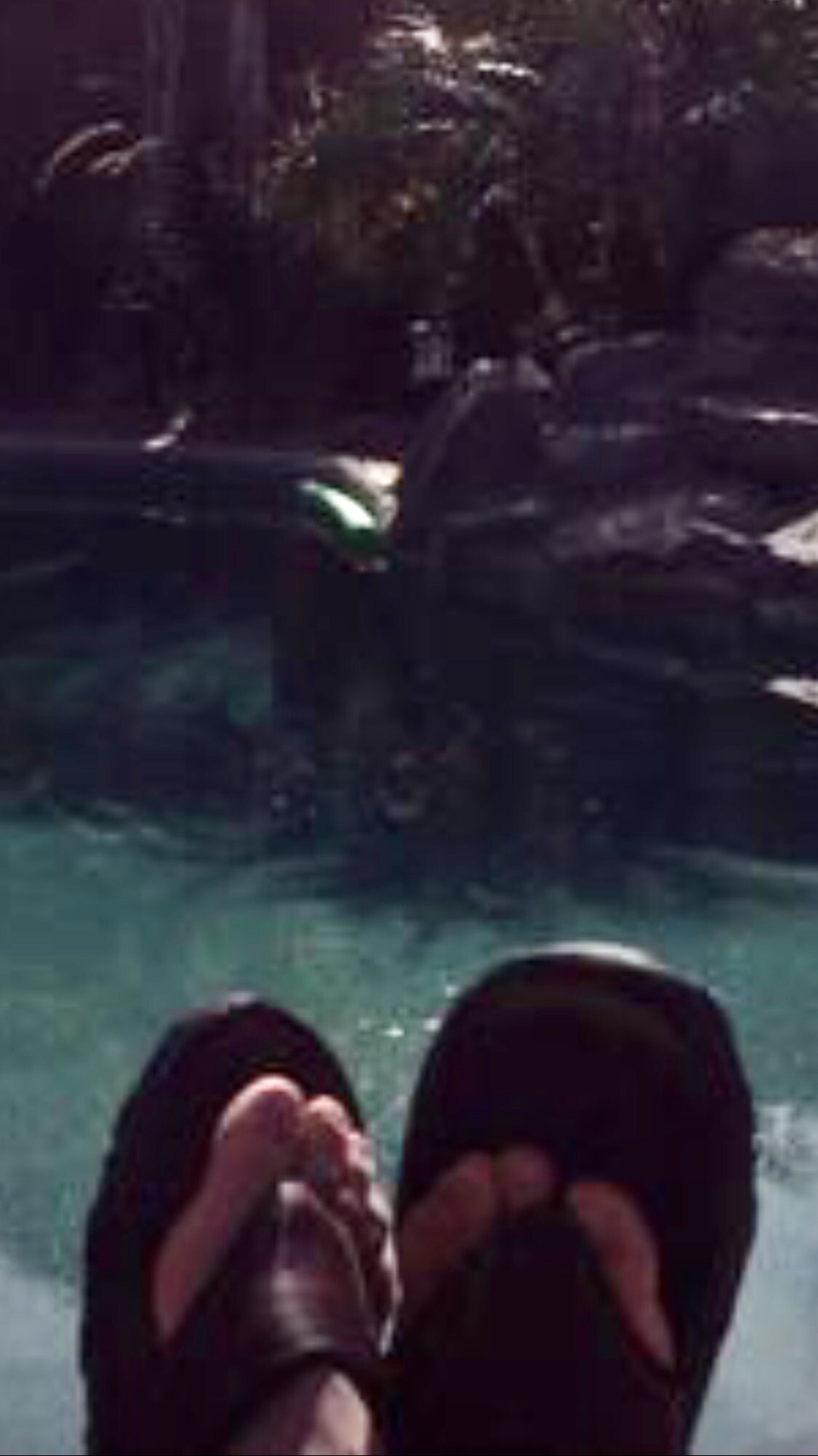 Robert Markus's feet