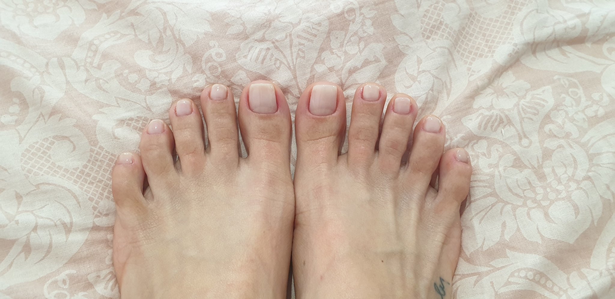Rosa Rozitas Feet I Piedi Di Rosa Rozita Celebrities Feet Hot 2024