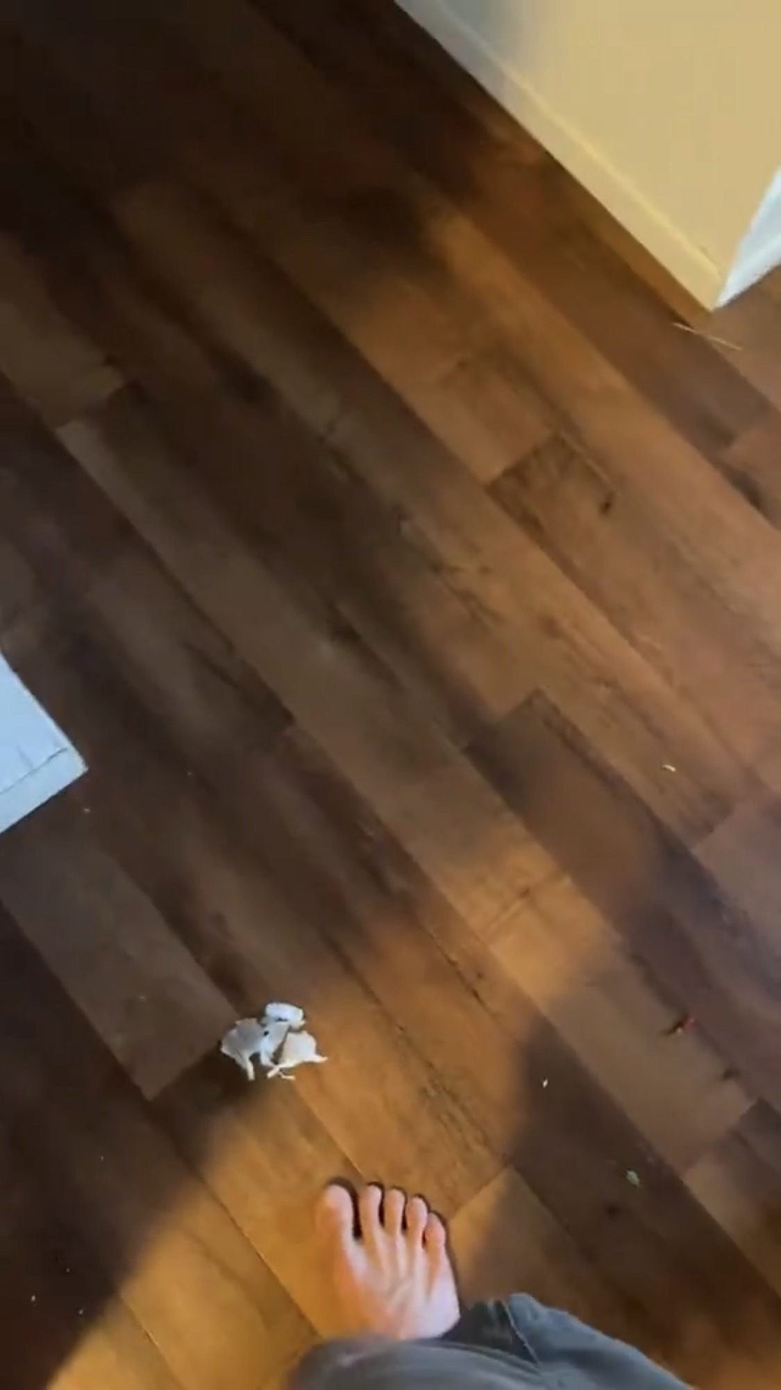 Sam Potter's feet