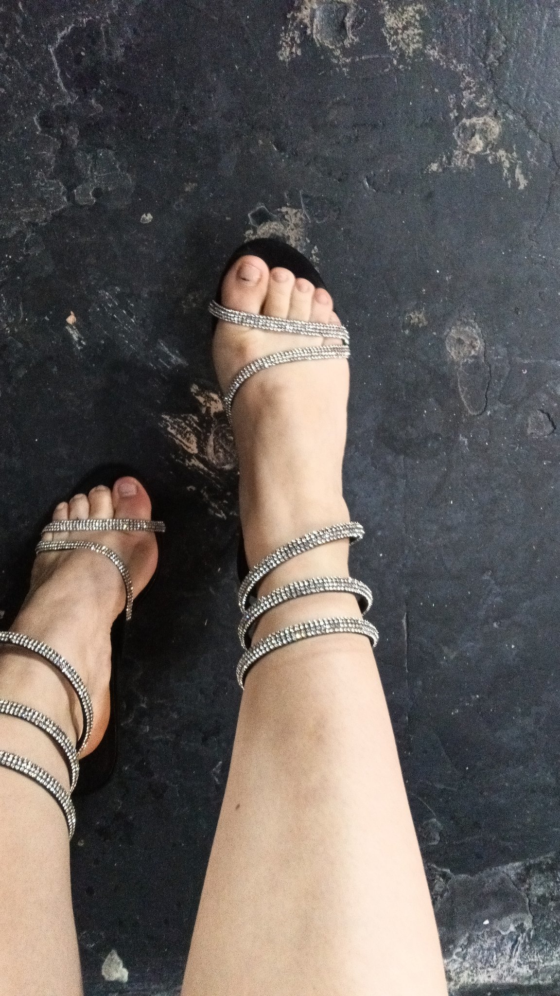 Samara Lanzs Feet