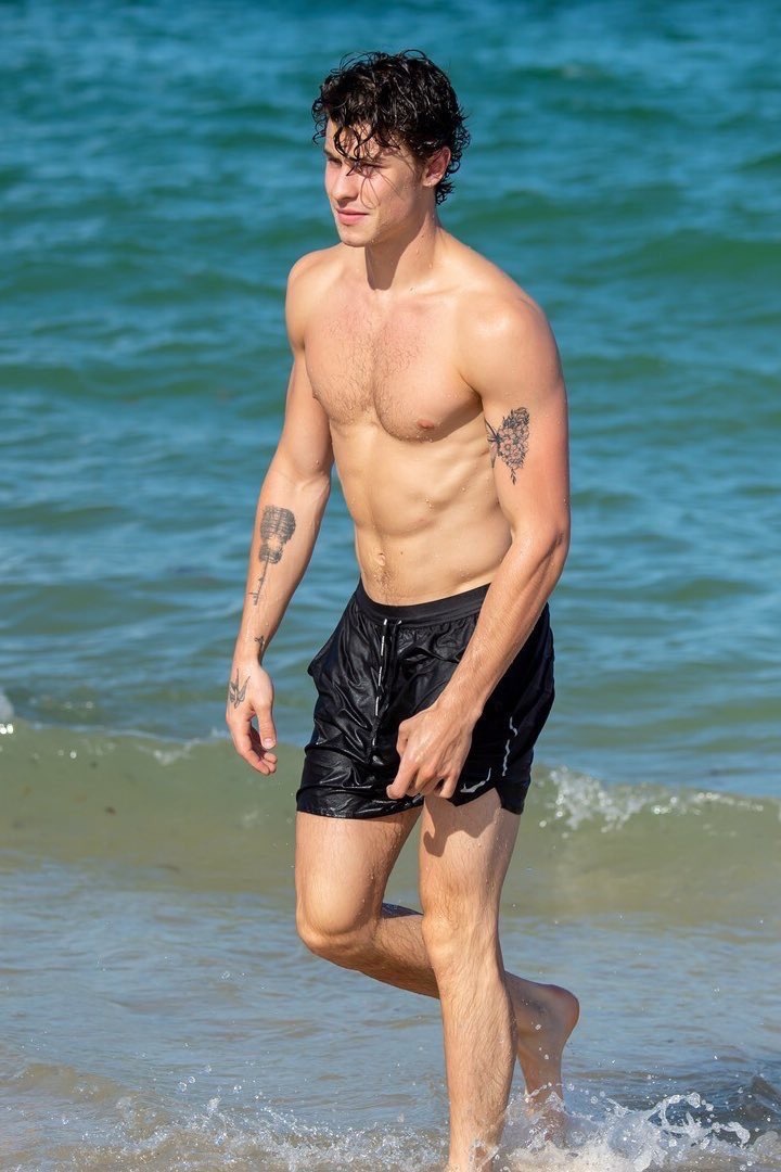 Shawn Mendes Page 126 Lpsg