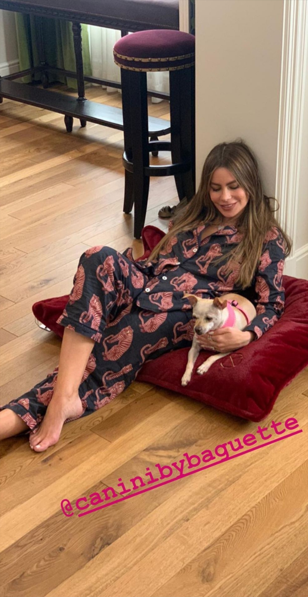 Sofía Vergara's Feet