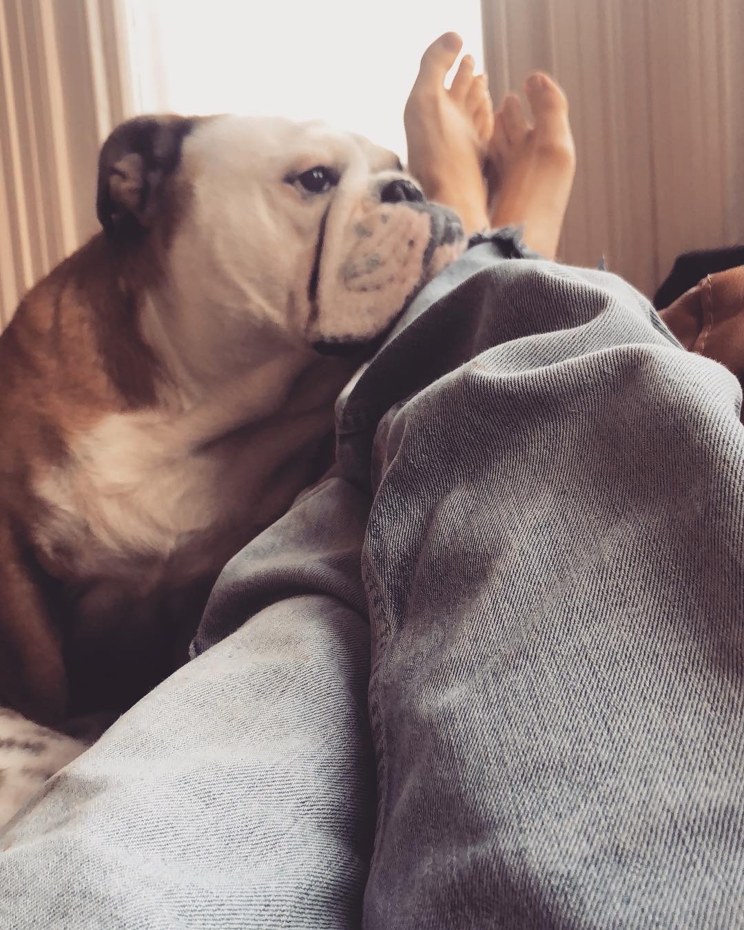 Stacey Dooleys Feet