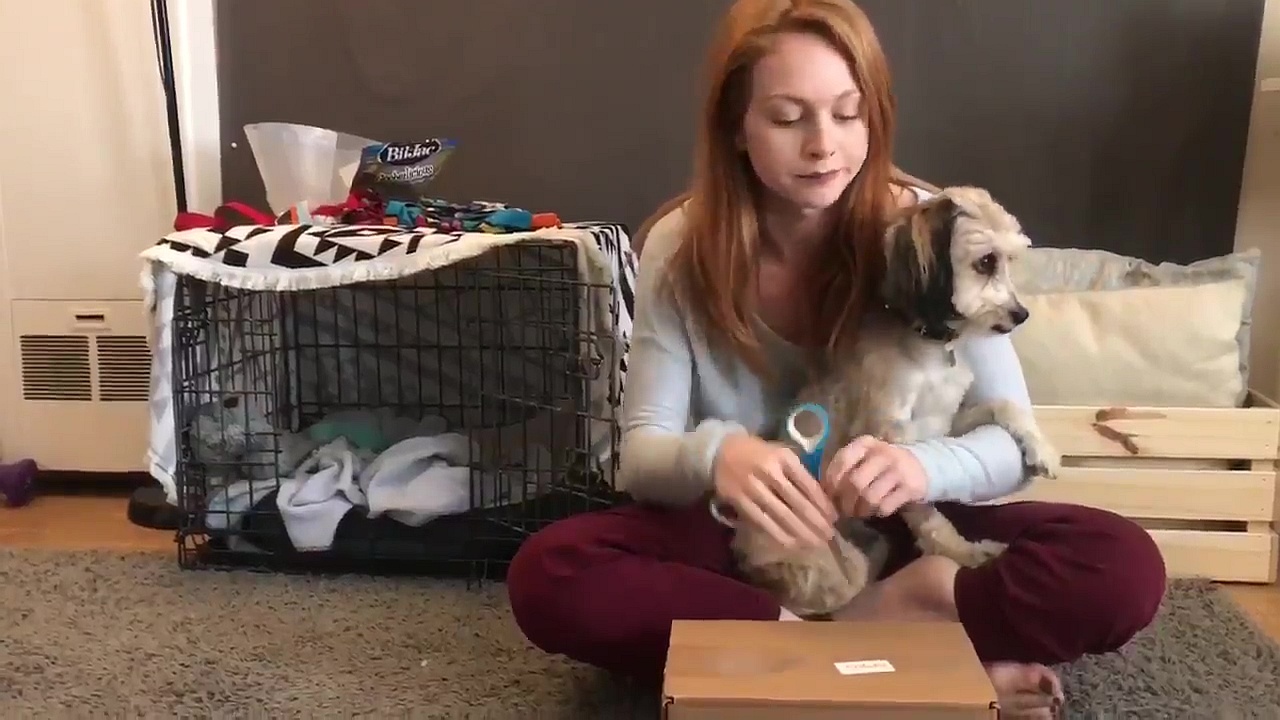 Taylor Foster's feet