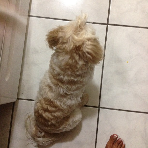 Temple Poteat's feet