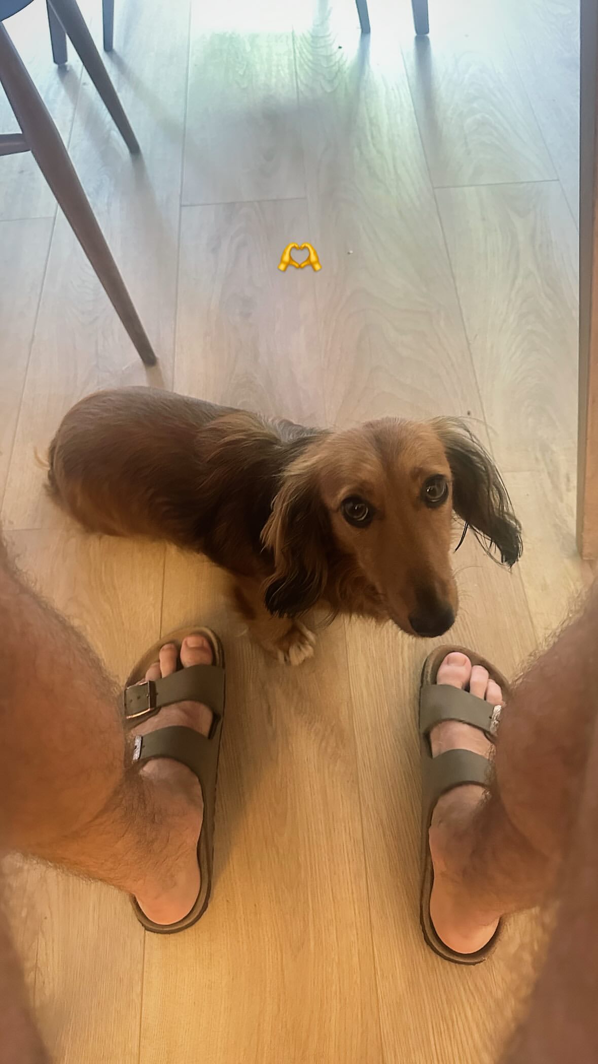 Theo Walker's feet