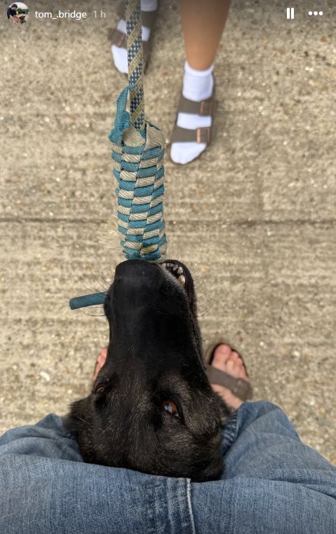 Tom Bridge's feet