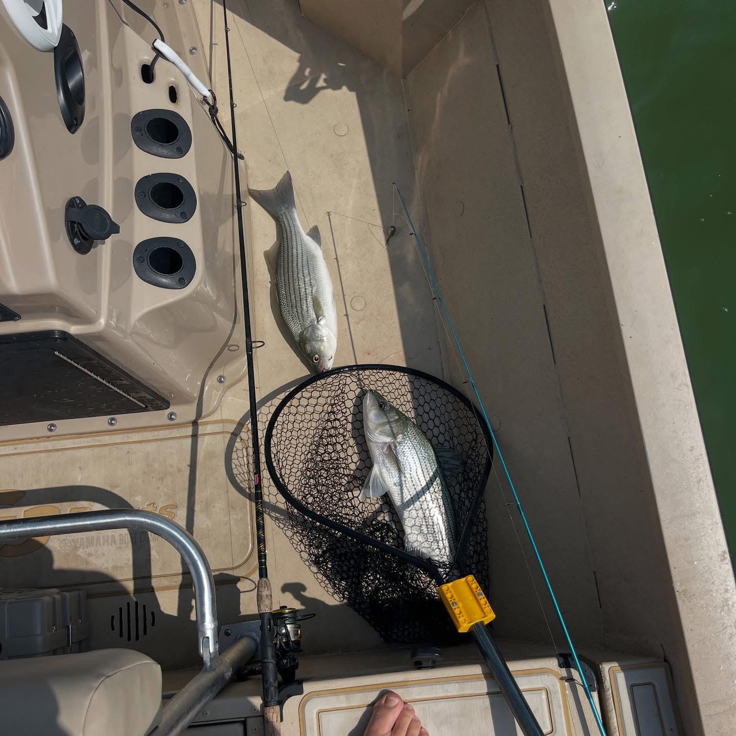 Wesly Cole Wilks's feet