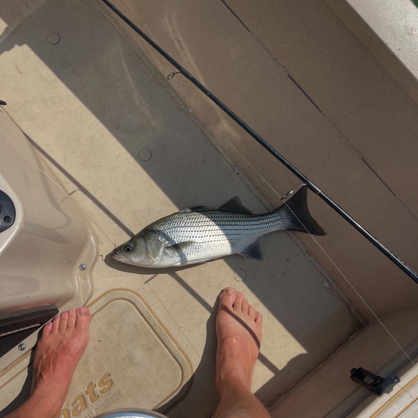 Wesly Cole Wilks's feet